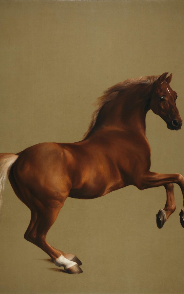 When the Horse Became Art | Bvlgari Hotel London