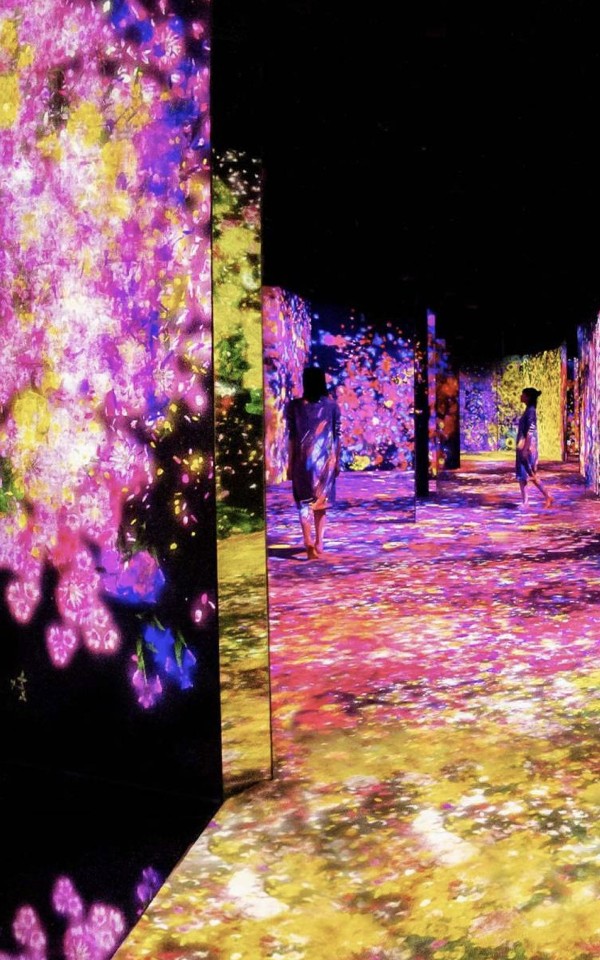 EPSON teamLab: teamLab Borderless | 上海宝格丽酒店