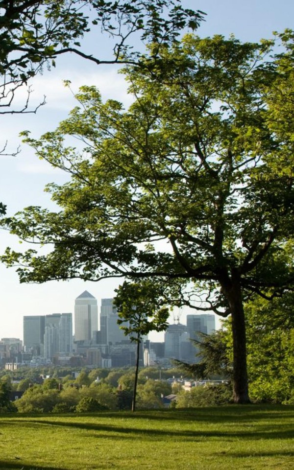 The Origins of Universal Time - the Zero Meridian at Greenwich Park ...
