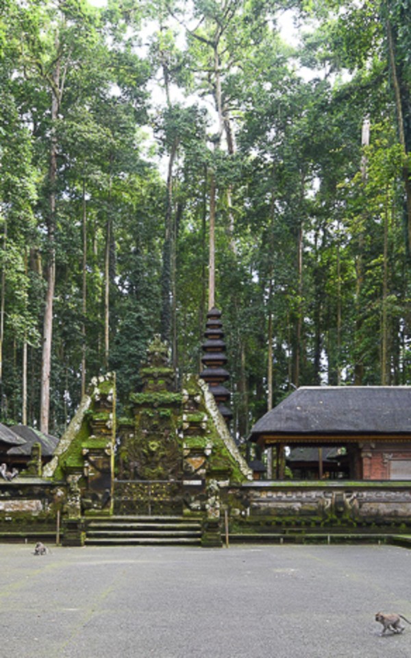 The Temple of the Macaques: Bukit Sari | Bvlgari Resort Bali