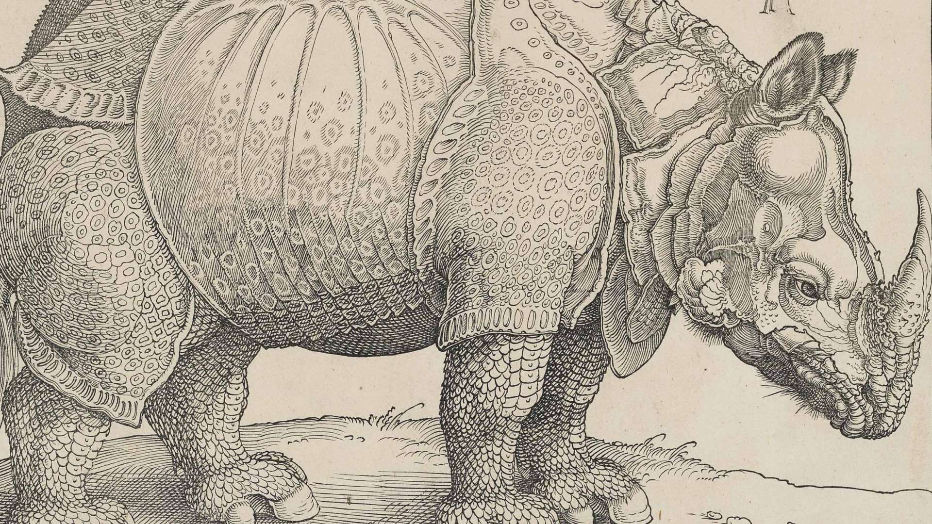 Europe’s Most Celebrated Rhinoceros, Painted by Dürer | 酒店伦敦宝格丽