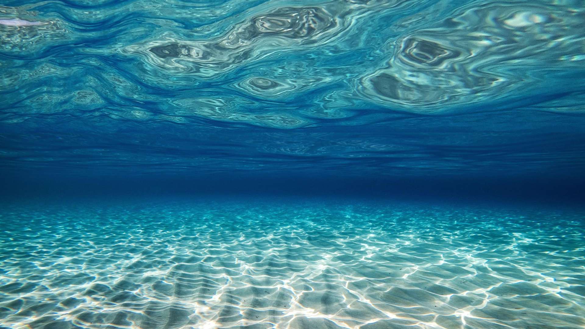 Discover the Ocean Depths with the Submarine Bali Odyssey | Bvlgari ...