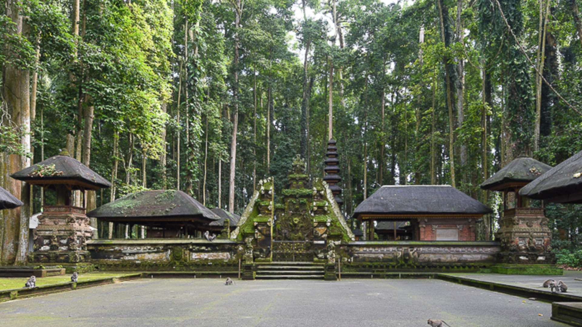 The Temple of the Macaques: Bukit Sari | Bvlgari Resort Bali