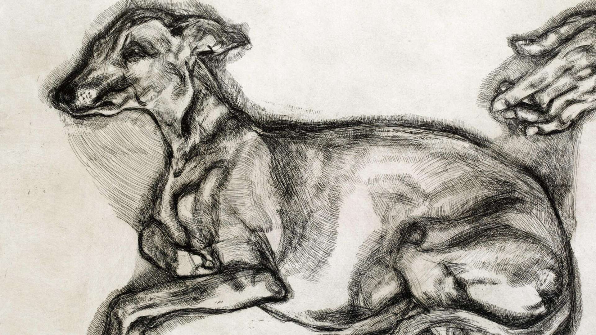 Lucian Freud, Master Engraver | 酒店伦敦宝格丽